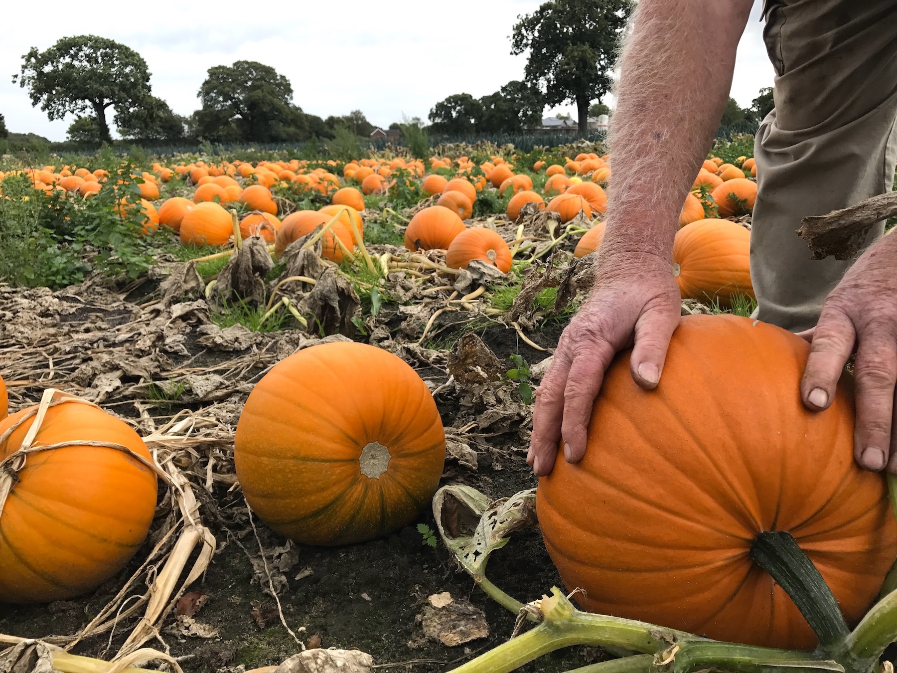 Autumn 2022 - Oliver Kay