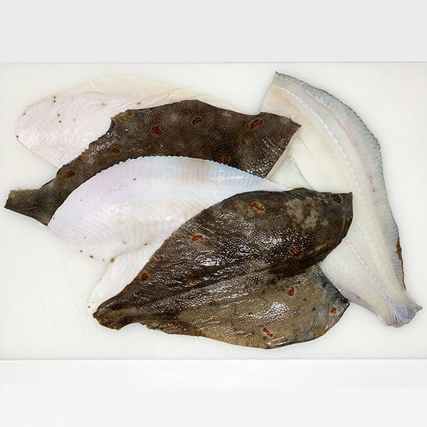 Wholesale Fresh Fish Suppliers | Oliver Kay