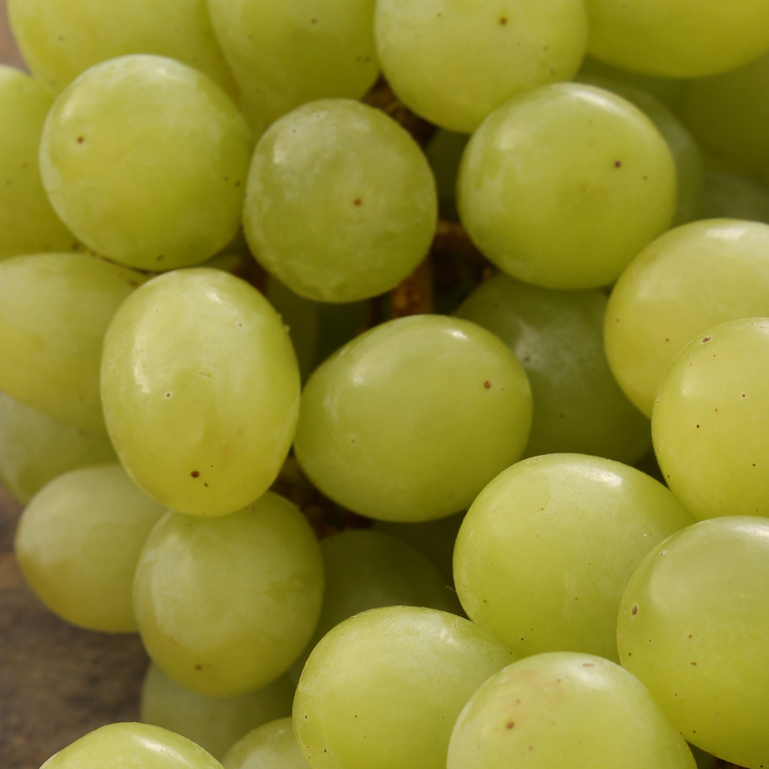 Grapes Archives - Oliver Kay