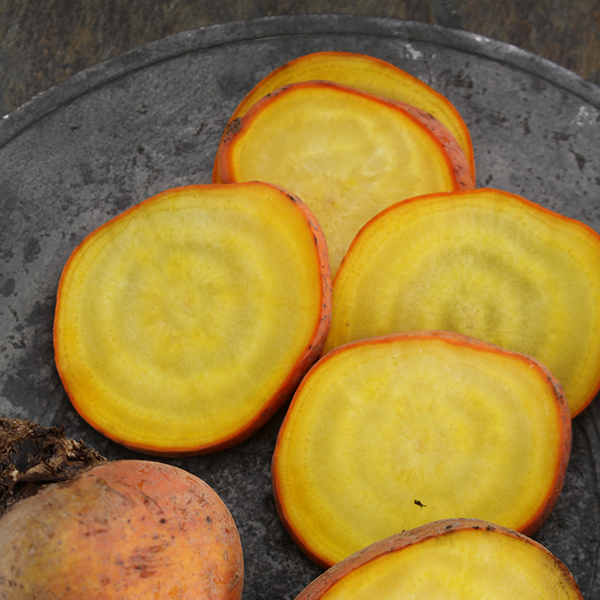 Beetroot & Radish Archives - Oliver Kay