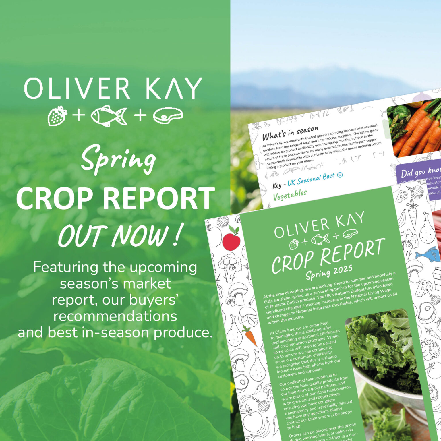 Spring Crop Report 2025 Available Today ! - Oliver Kay